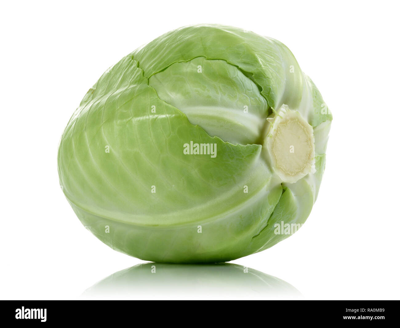Single fresh green cabbage isolated on white background. Studio shot ...