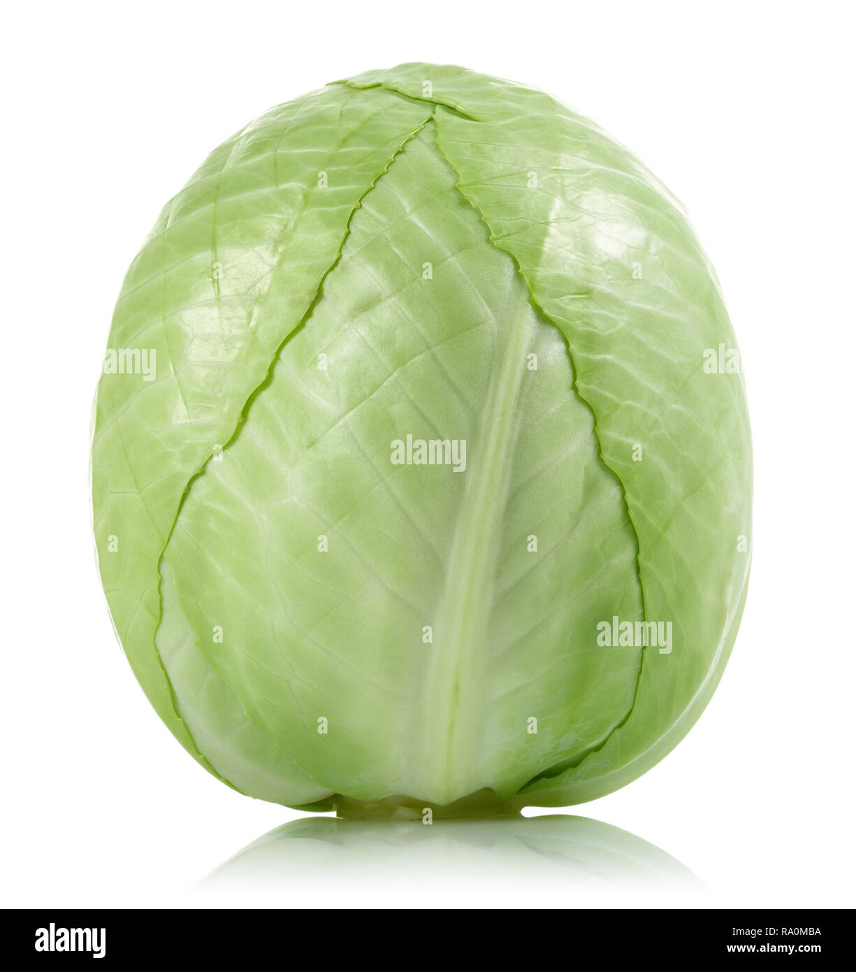 Single fresh green cabbage isolated on white background. Studio shot ...
