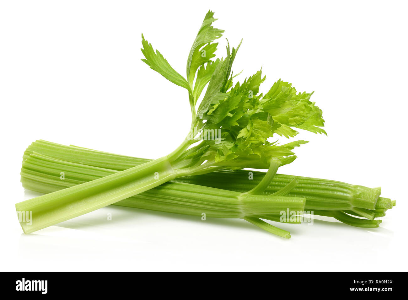 Fibrous stalk Cut Out Stock Images & Pictures - Alamy