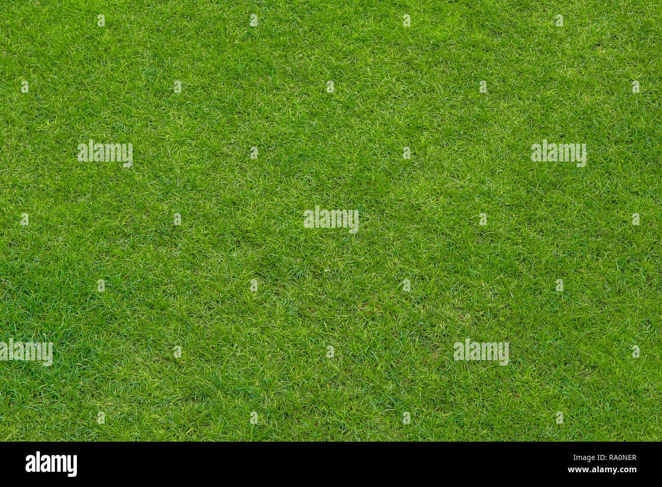 Natural green lawn, ground aerial view of lawn or ground Stock Photo ...