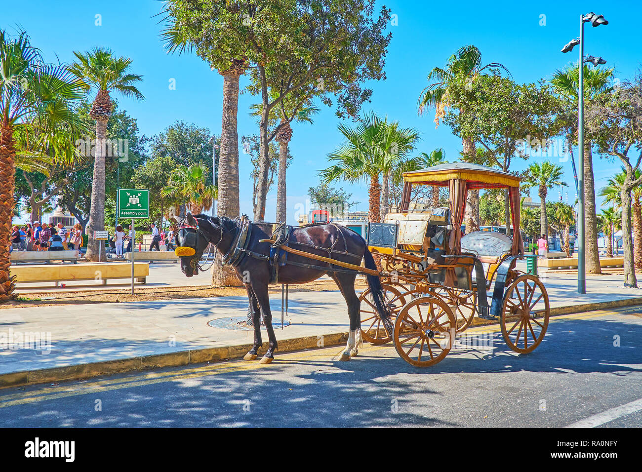 FLORIANA, MALTA - JUNE 18, 2018: Maltese karozzin carriage with horse ...