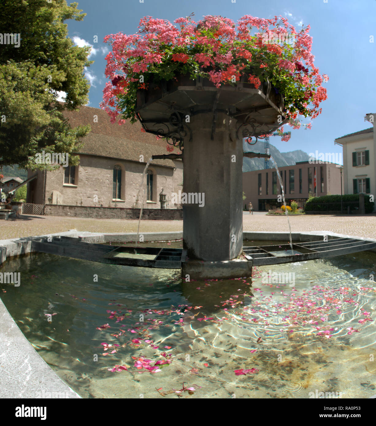 Geranium-infested fountain in Flums village square, Switzerland Stock ...