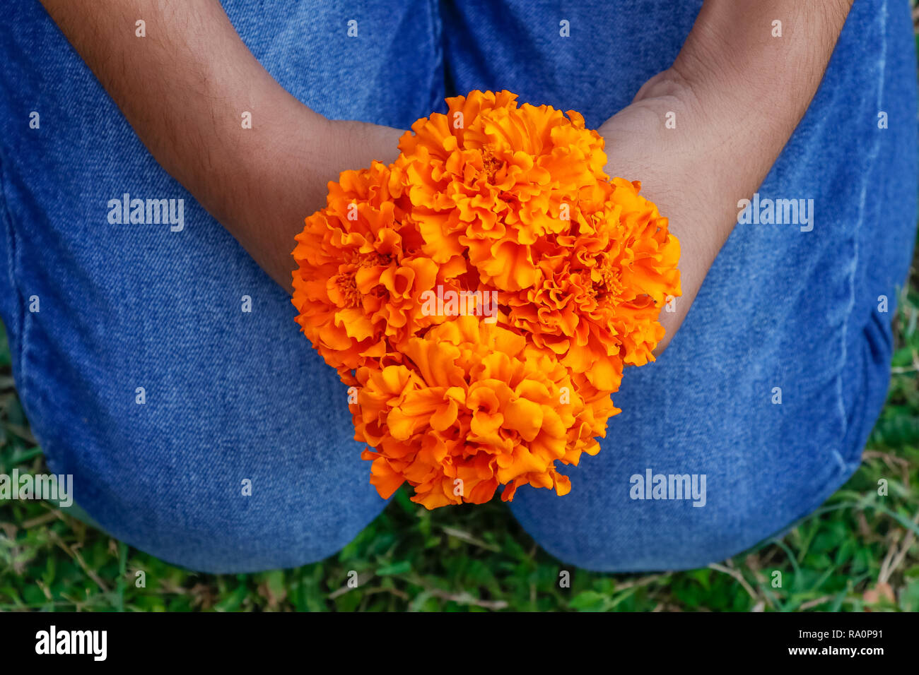 Welcome bouquet hi-res stock photography and images - Alamy