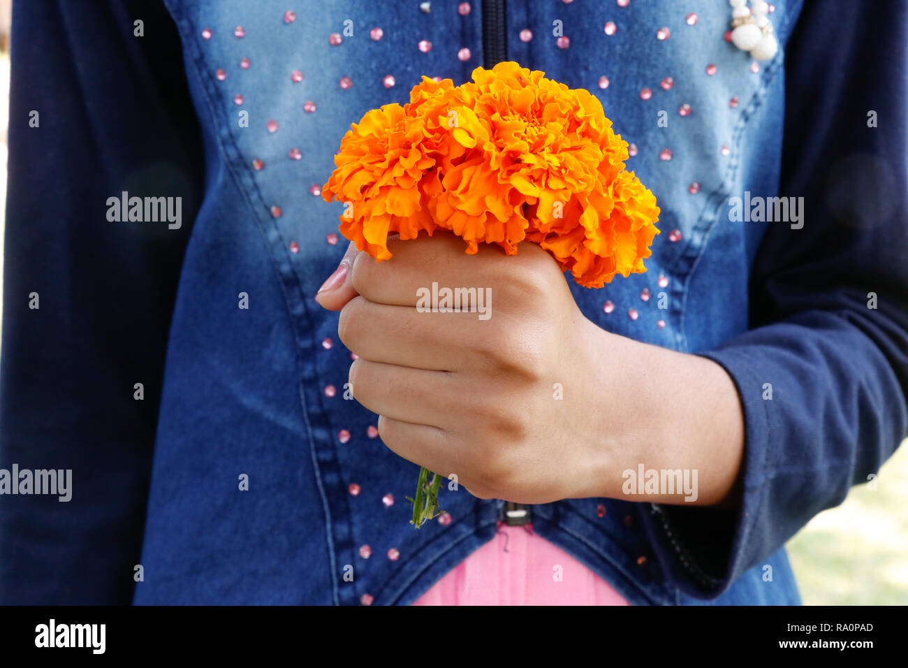 Welcome bouquet hi-res stock photography and images - Alamy