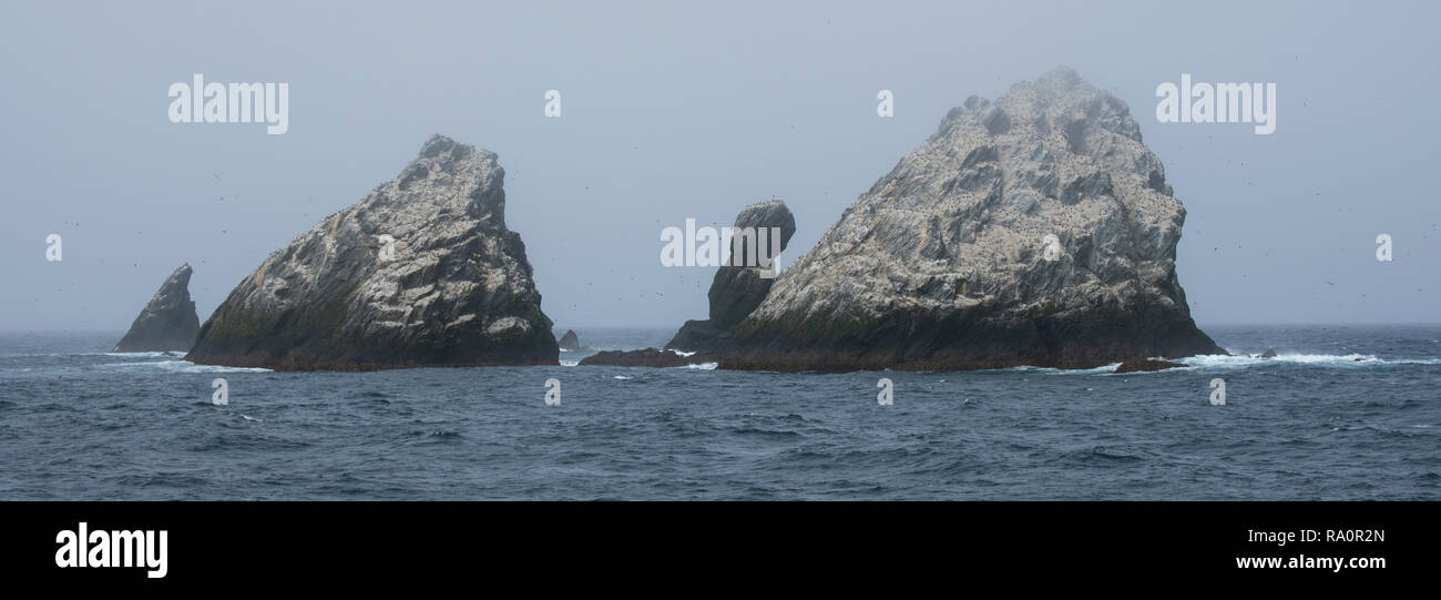South Georgia, Shag Rocks. Uninhabited group of small islands (aka ...