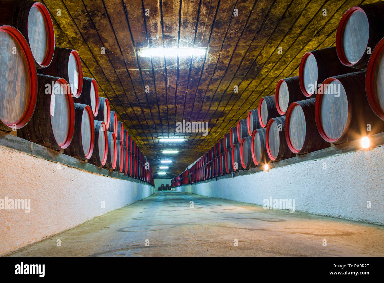 Underground wine barrels stack, winery cellar storage area with wooden ...