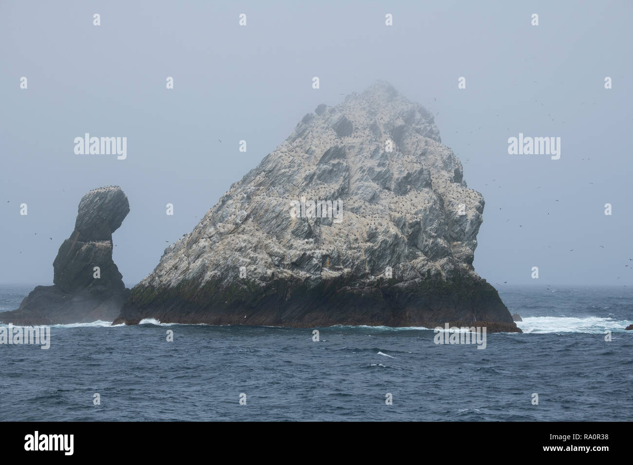 South Georgia, Shag Rocks. Uninhabited group of small islands (aka ...