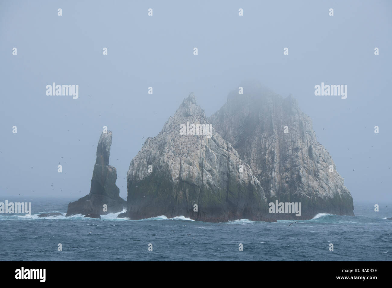 South Georgia, Shag Rocks. Uninhabited group of small islands (aka ...