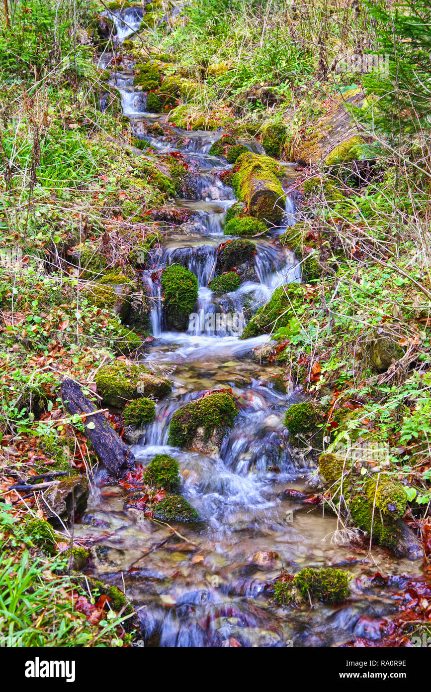 Water fresh stream in summer forest scene Stock Photo - Alamy