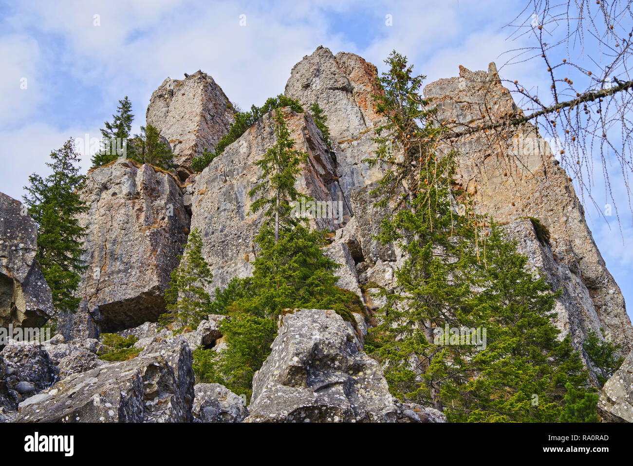 Huge rock mountain in the nature, some trees on the rock Stock Photo ...
