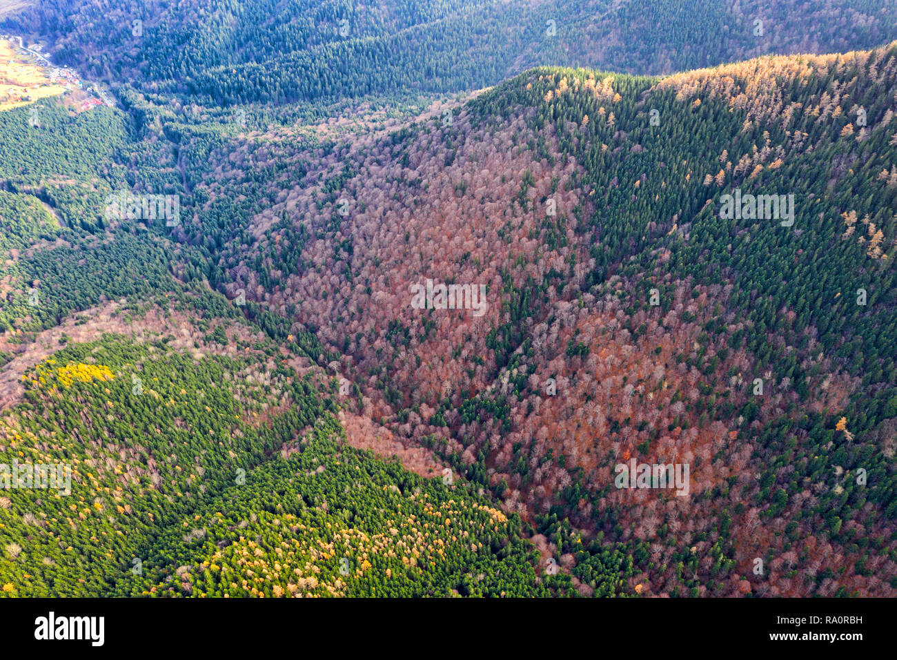 Flying above colorful autumn forest hi-res stock photography and images ...