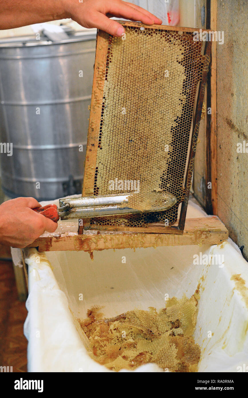 Man removes hi-res stock photography and images - Alamy