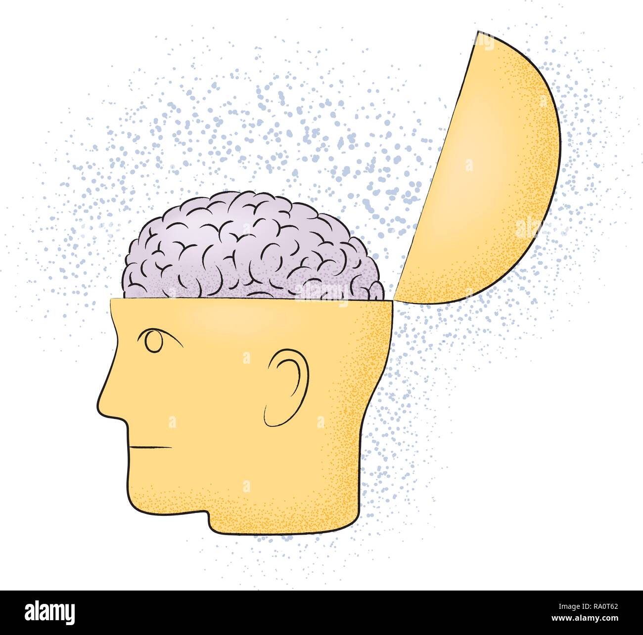 Symbolic drawing of the head with the brain Stock Vector Image & Art ...