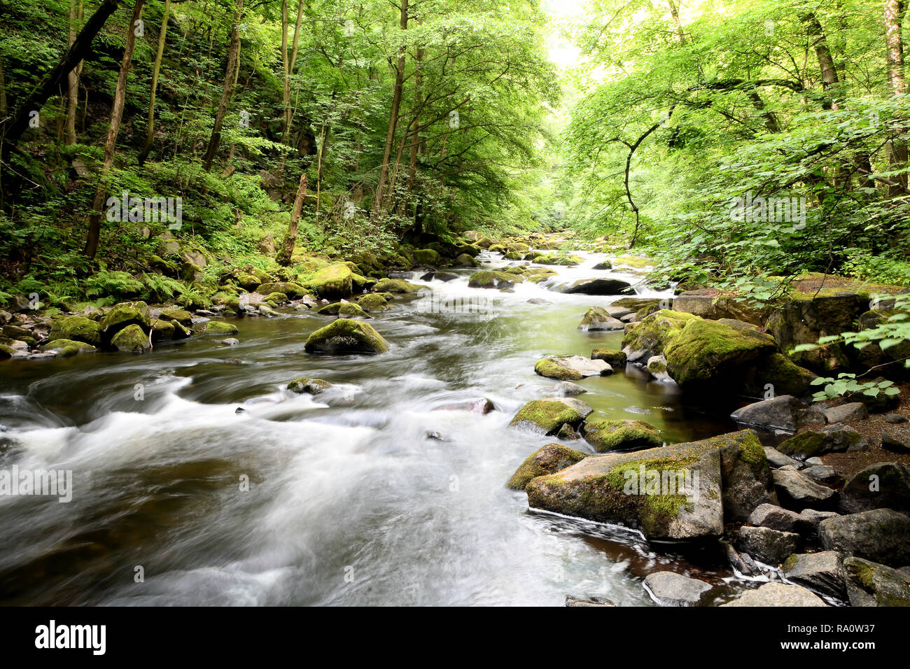 Bode river valley hi-res stock photography and images - Alamy
