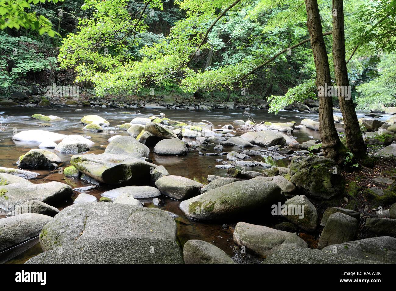River bode in the bodetal near thale hi-res stock photography and ...