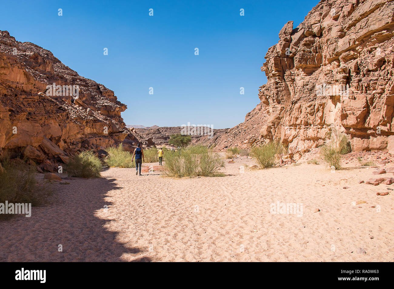 Sinai colored canyon egypt hi-res stock photography and images - Alamy