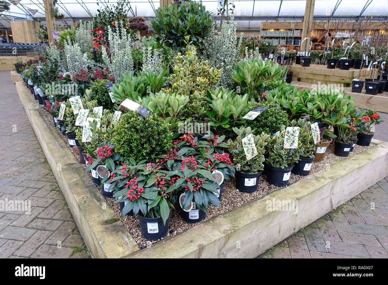 Views of a typical garden centre in the winter with new shrubs on ...