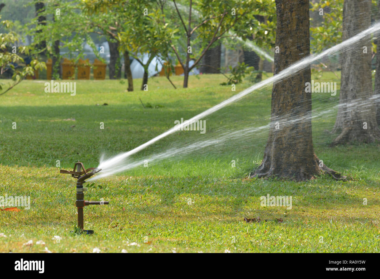 Gardening. Lawn sprinkler spraying water over green grass. Irrigation ...