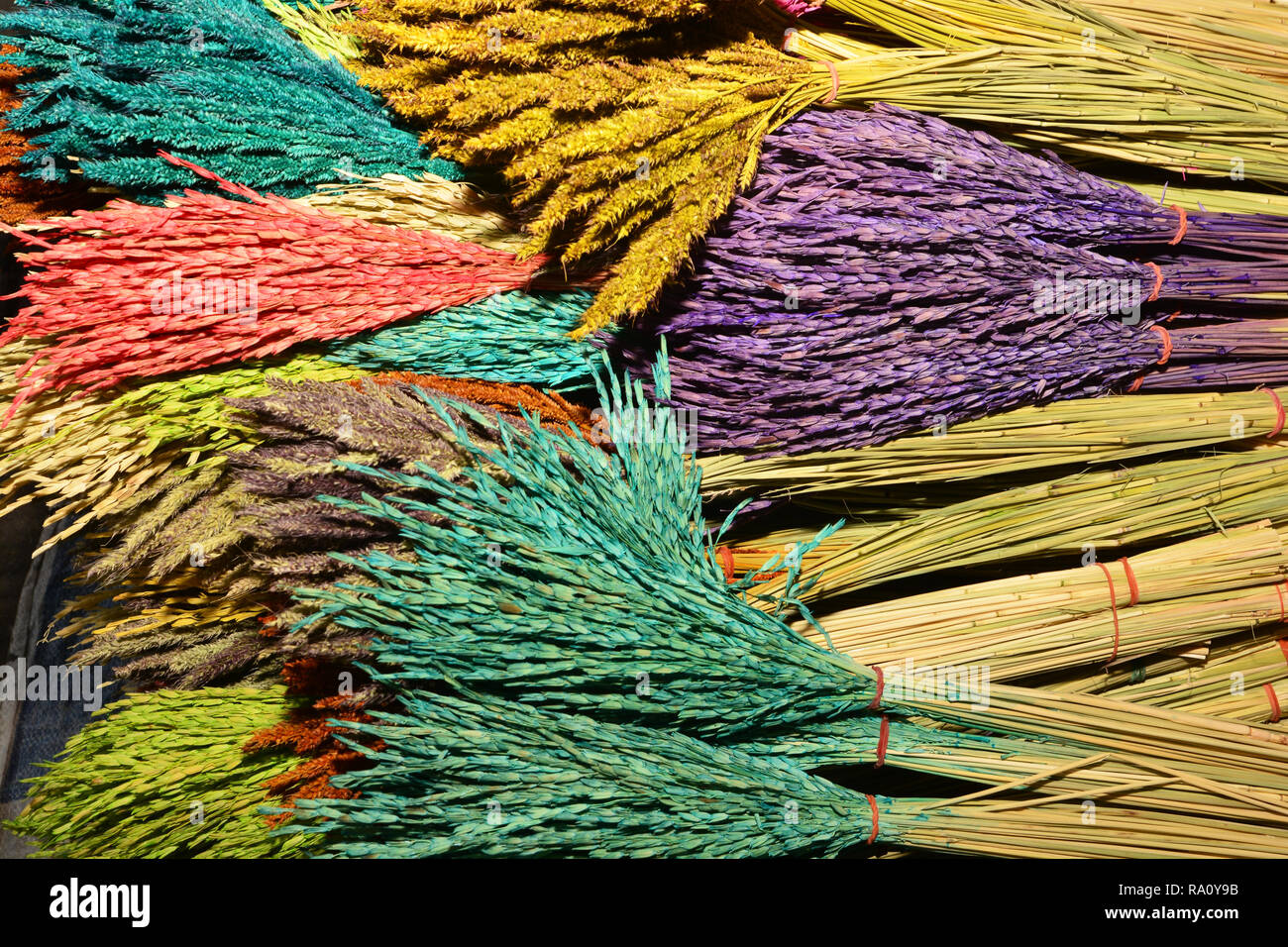 Colorful natural paddy rice dyed in red, yellow and purple Stock Photo ...