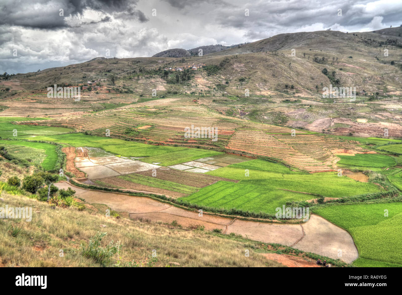 Landscape with the rice fields at Ambalavao Fianarantsoa in Madagascar ...