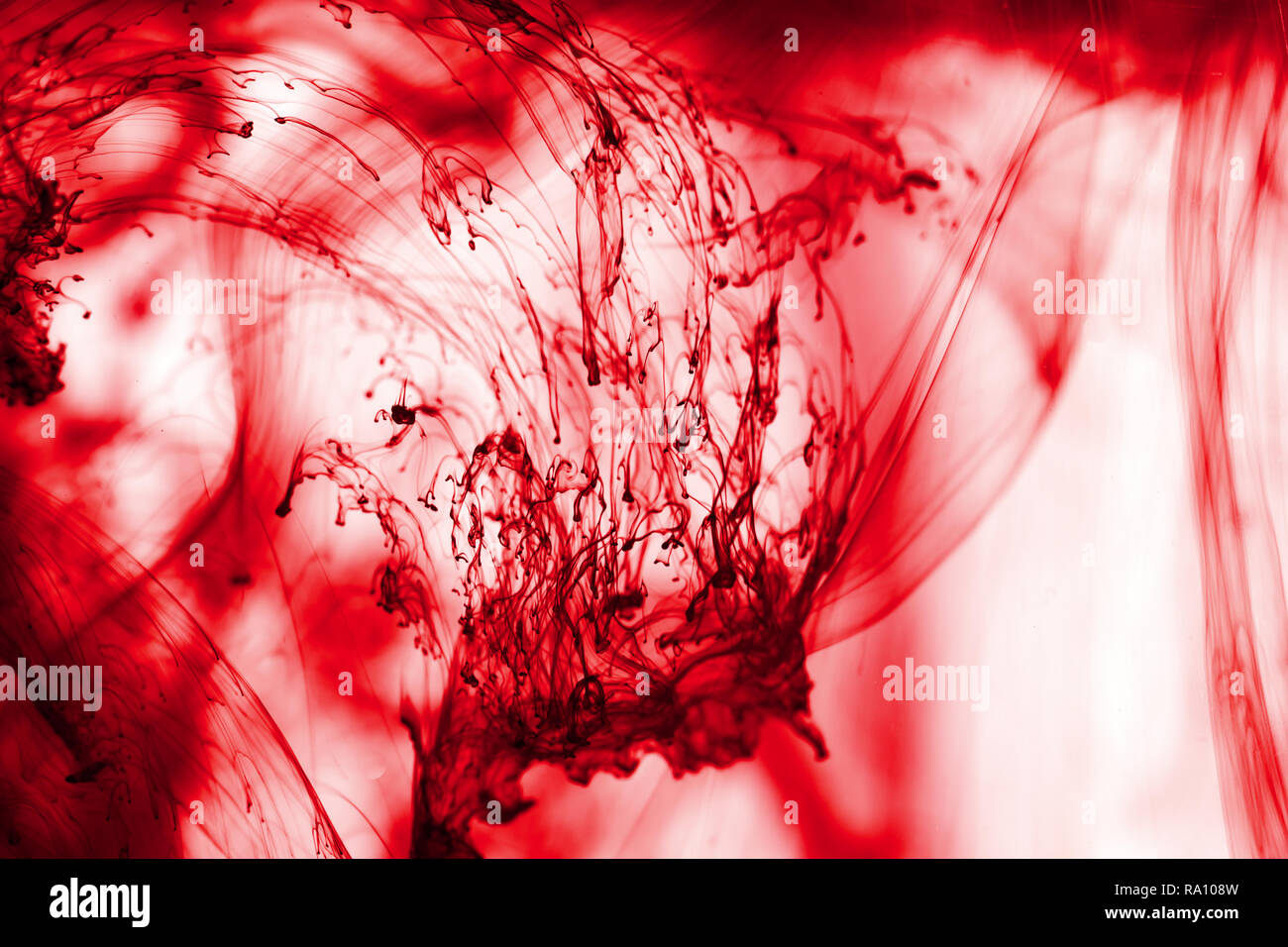 Red color ink flowed in water. Abstract red color ink pattern ...