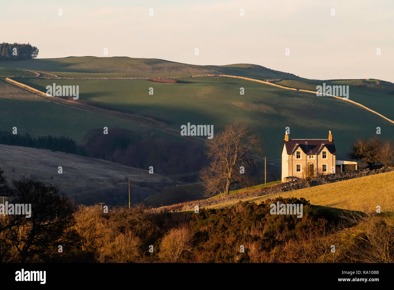 Cheviot House High Resolution Stock Photography and Images - Alamy