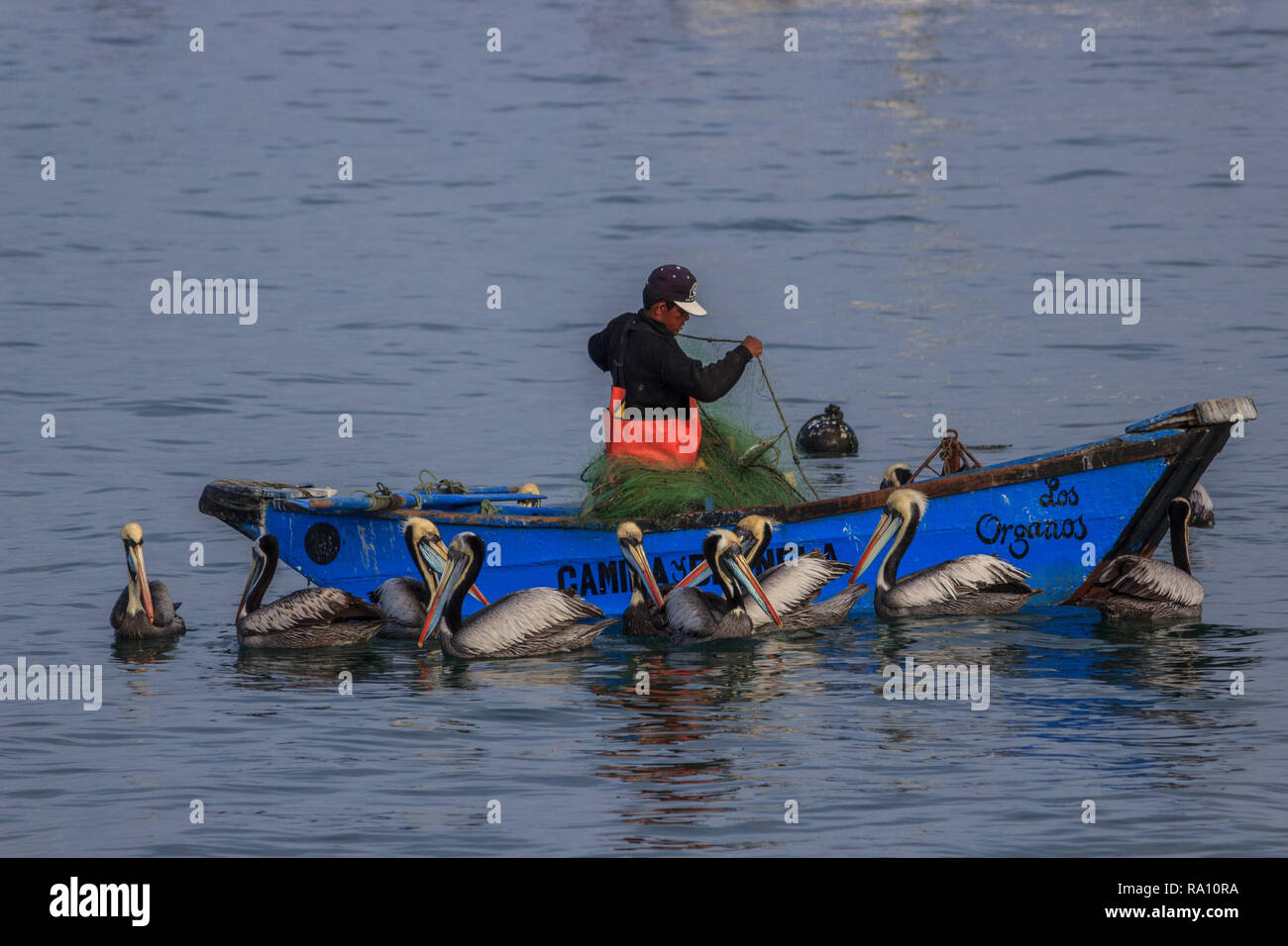 Fishing Boats Sea Peru High Resolution Stock Photography and Images - Alamy