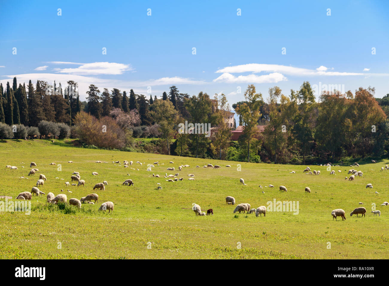 Fauna antica hi-res stock photography and images - Alamy