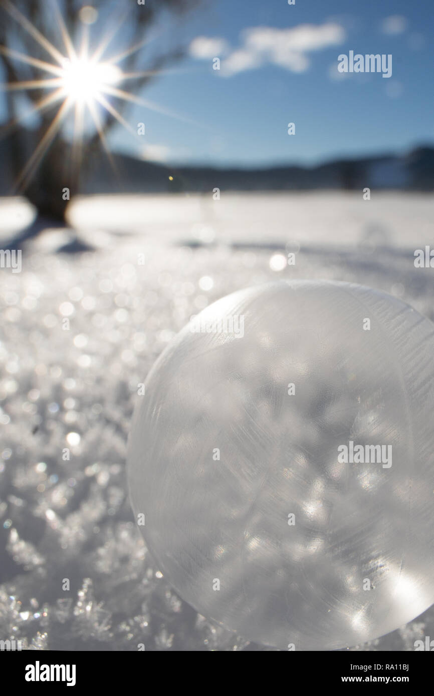 frozen bubble in snow Stock Photo - Alamy