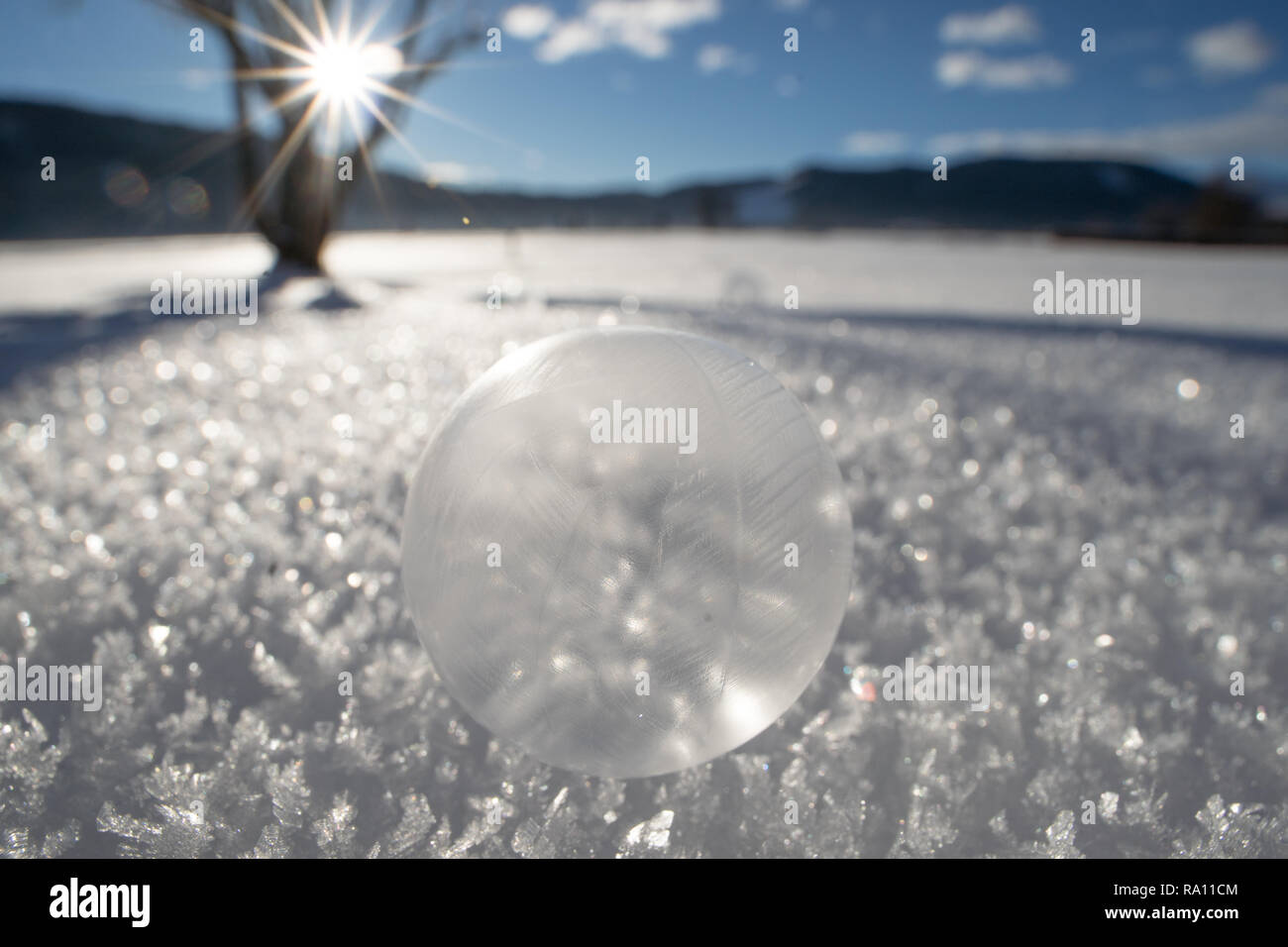 frozen bubble in snow Stock Photo - Alamy