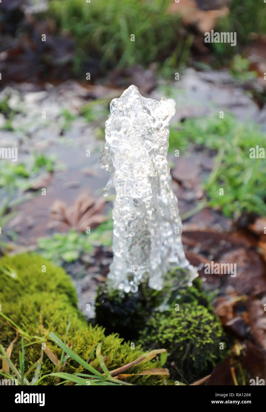 fresh gushing water gushes from the source on the ground Stock Photo ...