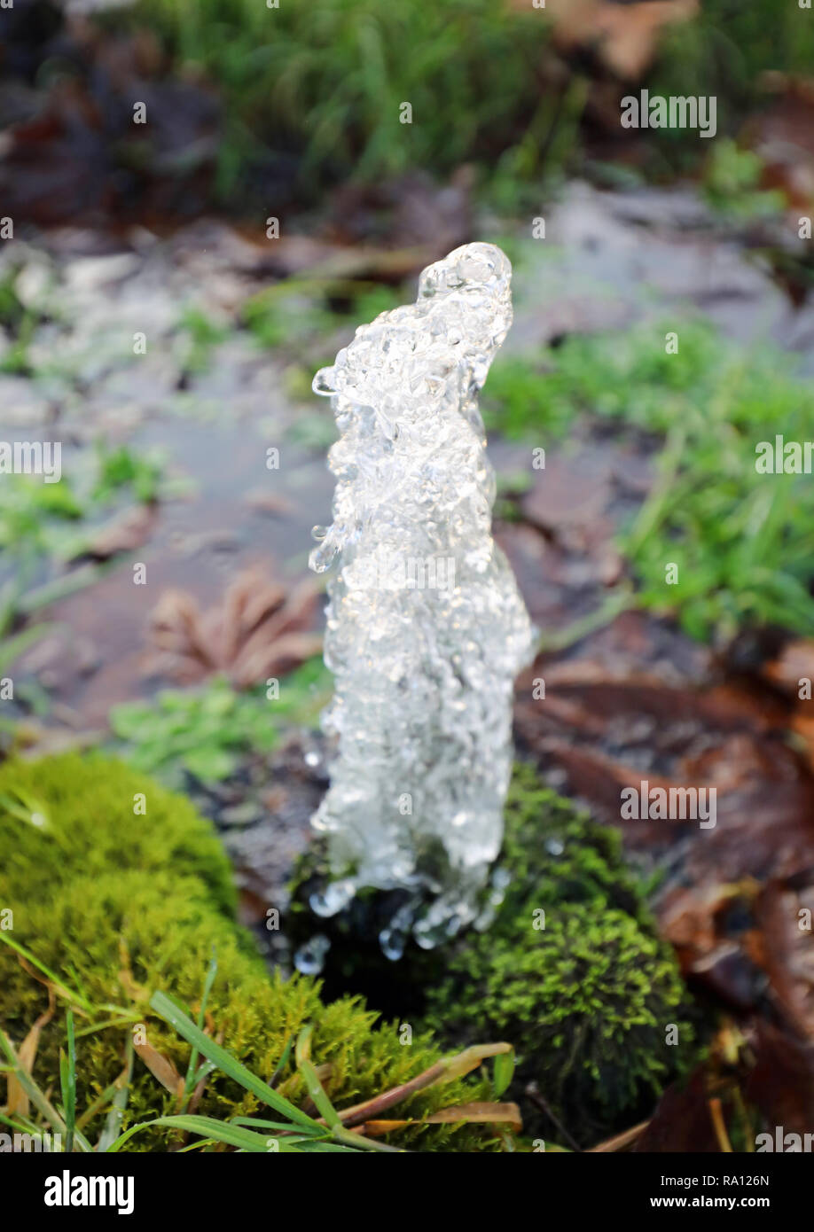 Flush to the ground hi-res stock photography and images - Alamy