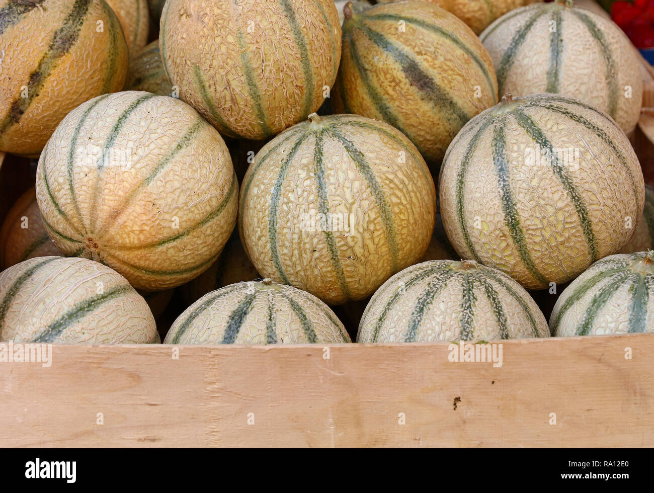 Melon display hi-res stock photography and images - Alamy