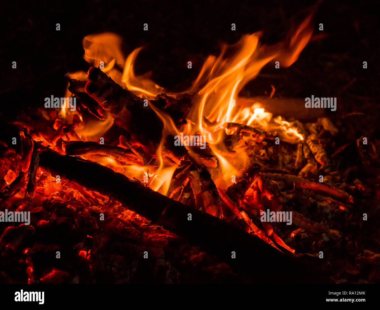 Closeup detail of wood burning on small bonfire with glowing embers ...