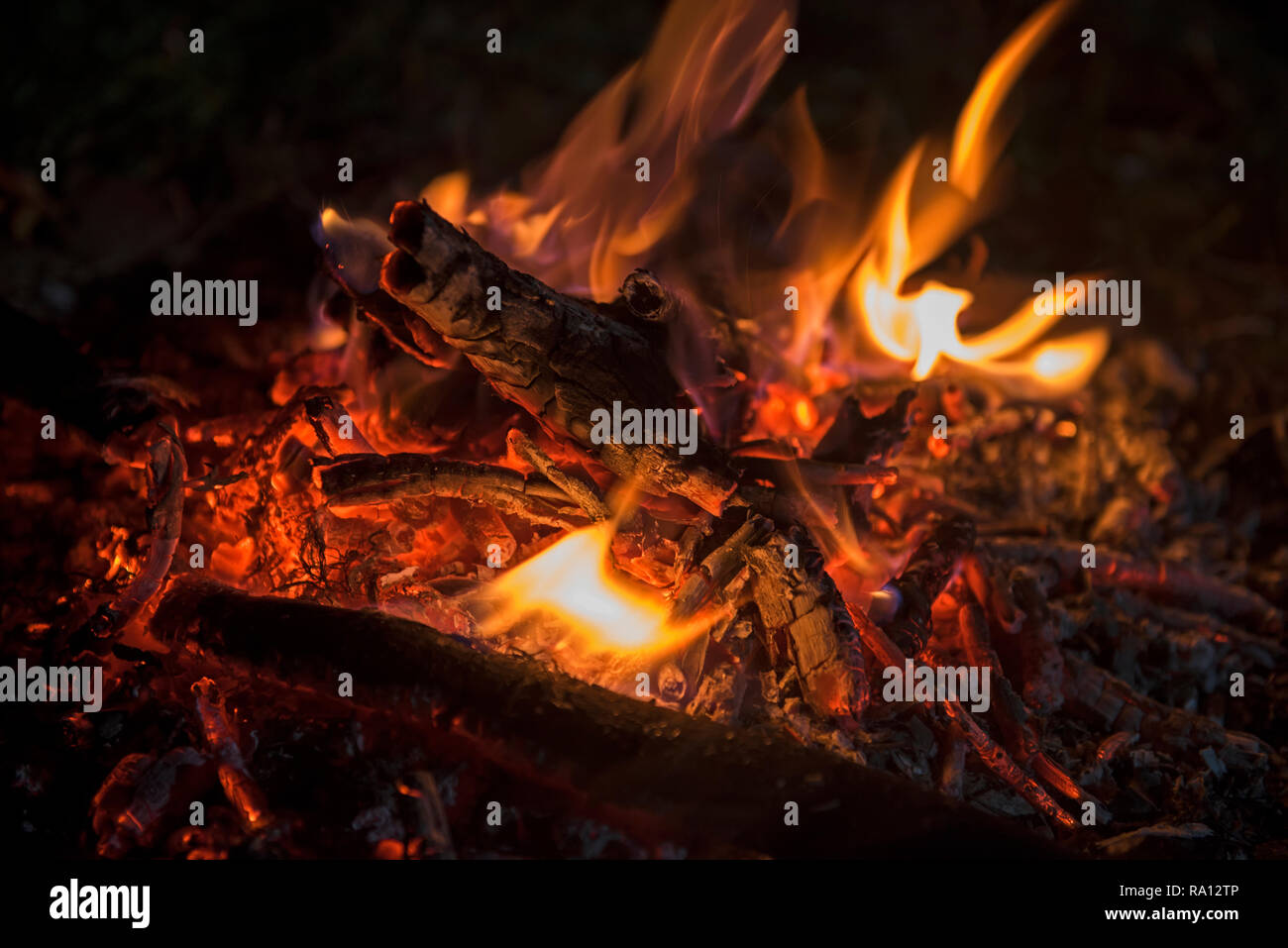 Closeup detail of wood burning on small bonfire with glowing embers ...