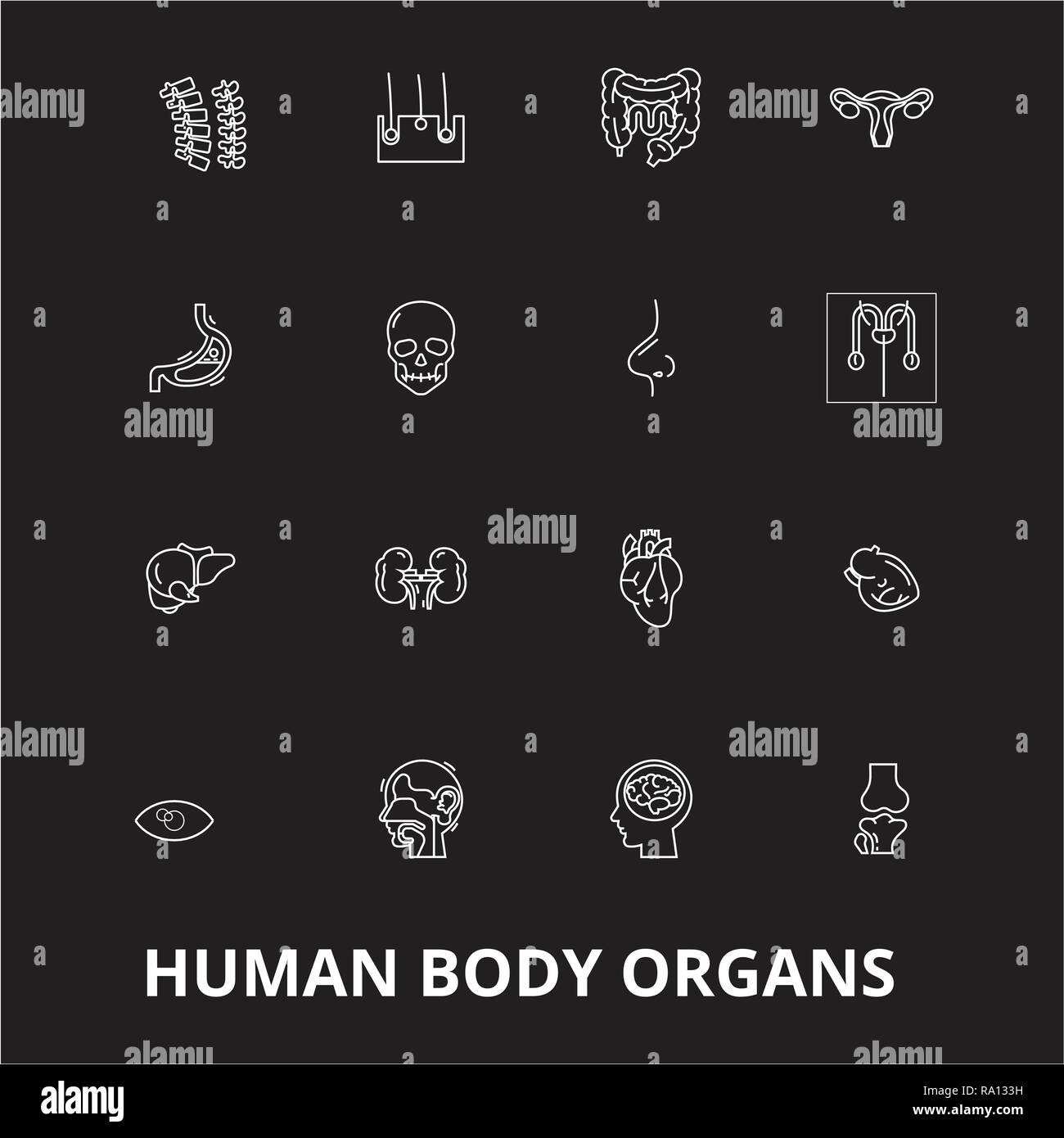 Body Outline With Organs High Resolution Stock Photography and Images ...