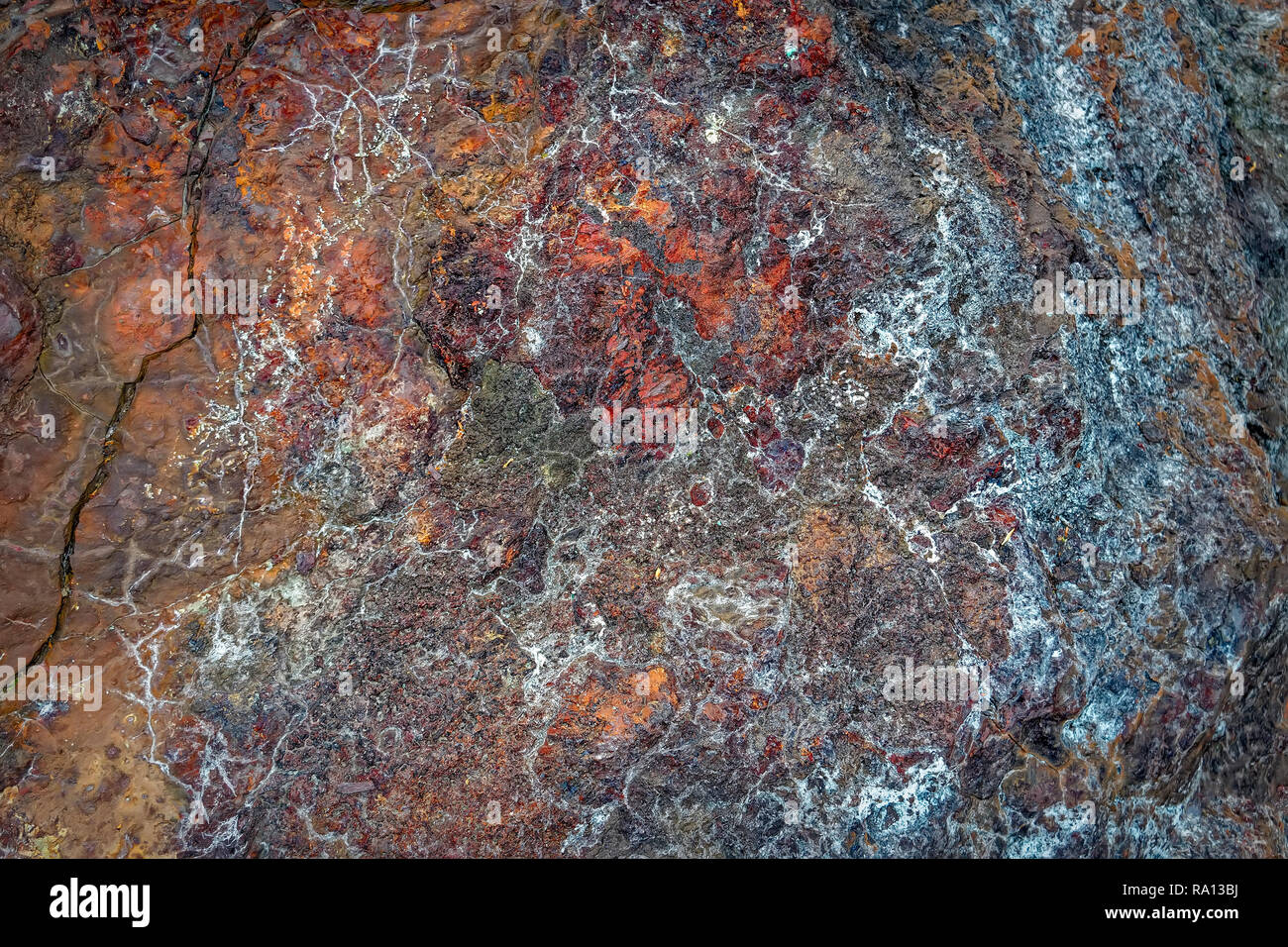 Concomitant hi-res stock photography and images - Alamy