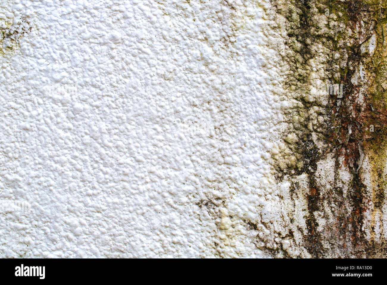 Gutter on wall with mold Stock Photo - Alamy