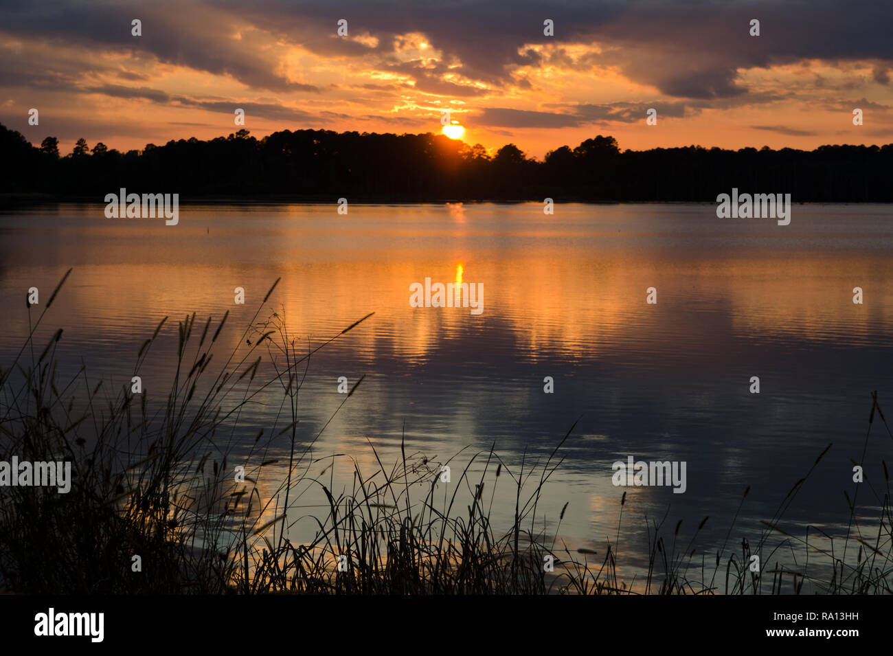 Brooksville hi-res stock photography and images - Alamy