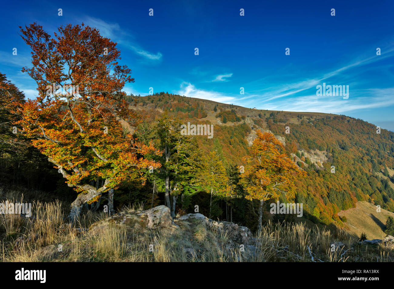 View from the Belchen in the Black Forest, Germany Stock Photo - Alamy