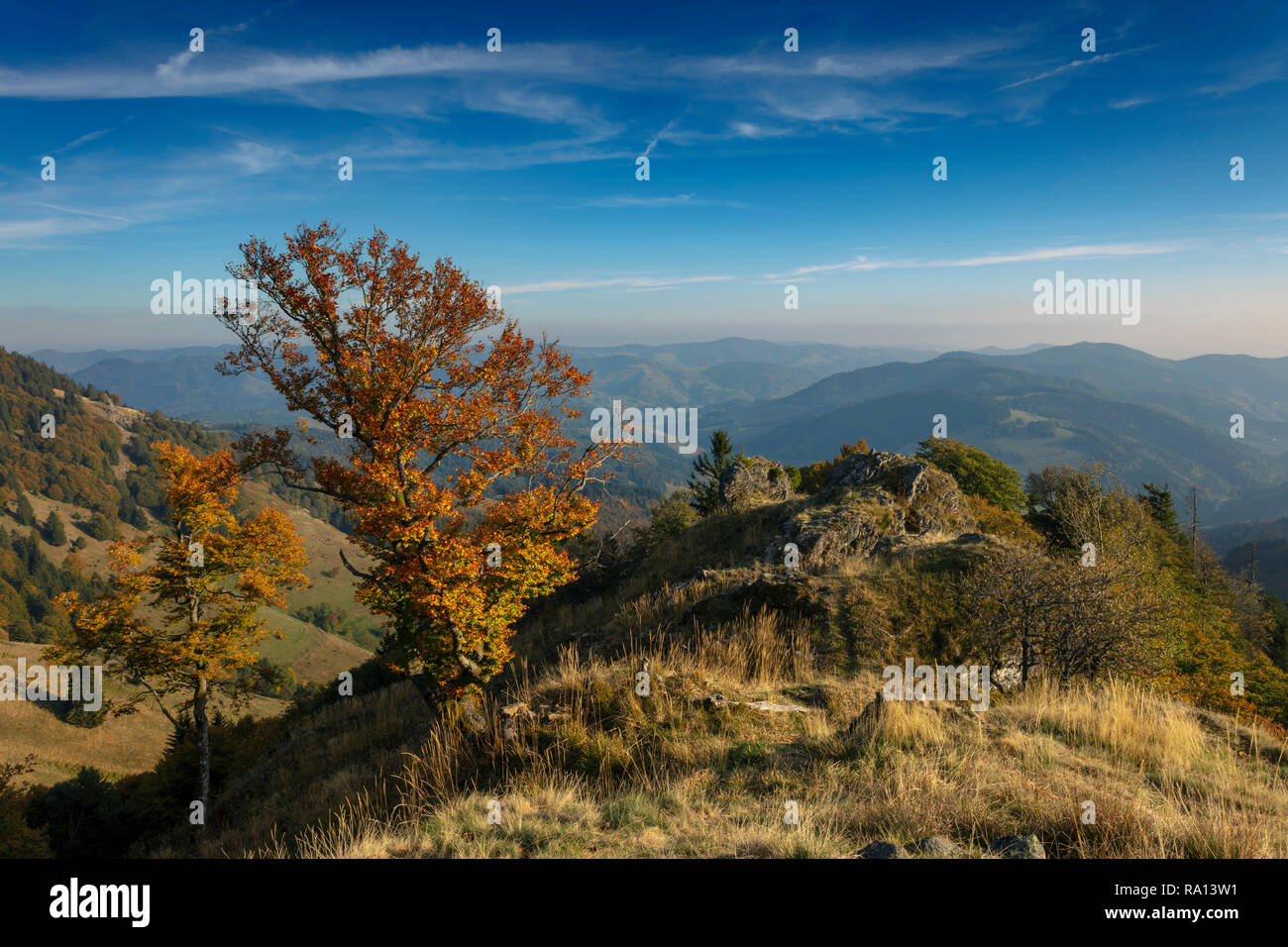 View from the Belchen in the Black Forest, Germany Stock Photo - Alamy