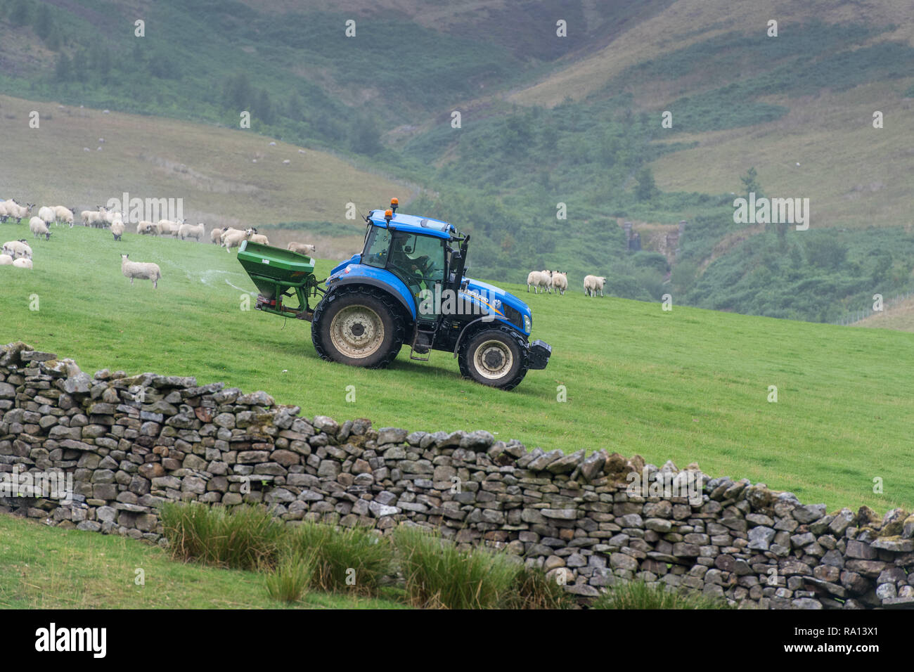 Farmer spreading artificial fertiliser on upland pasture, Trough of ...