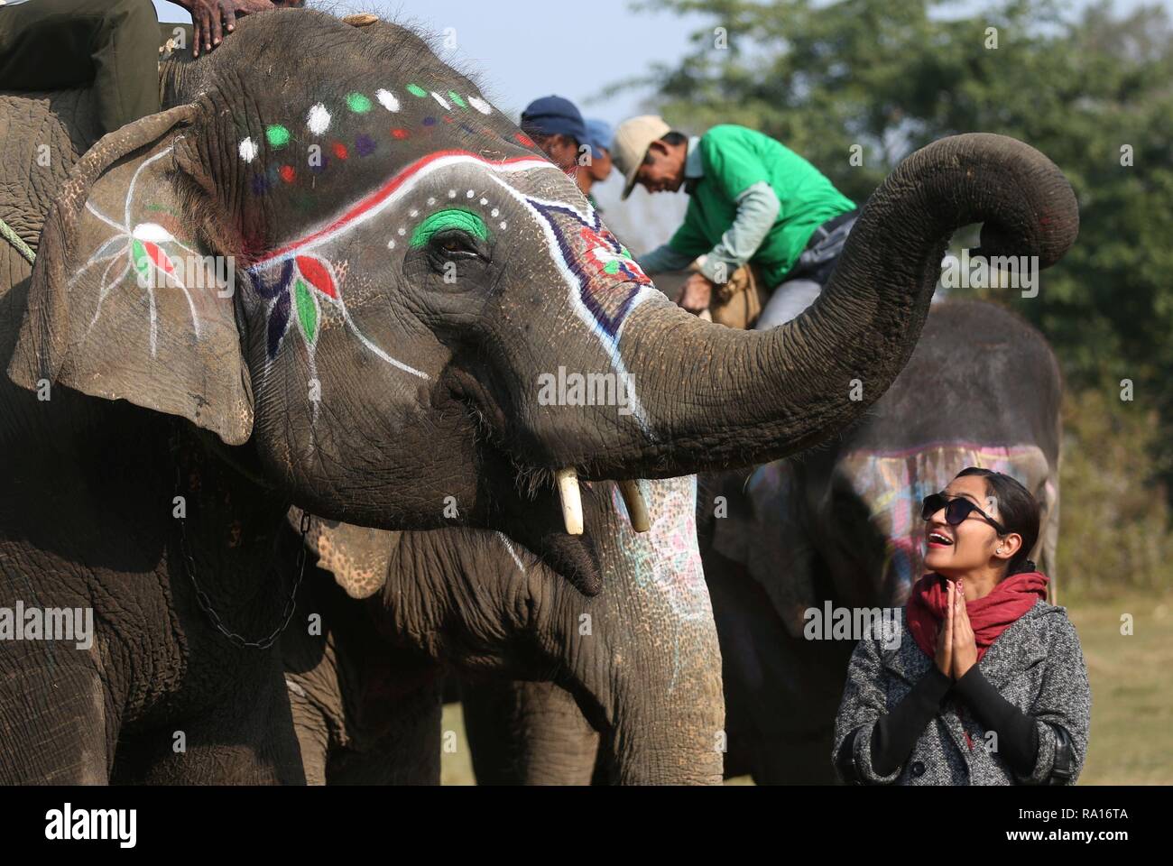 Chitwan, Nepal's Chitwan district. 29th Dec, 2018. An elephant displays ...