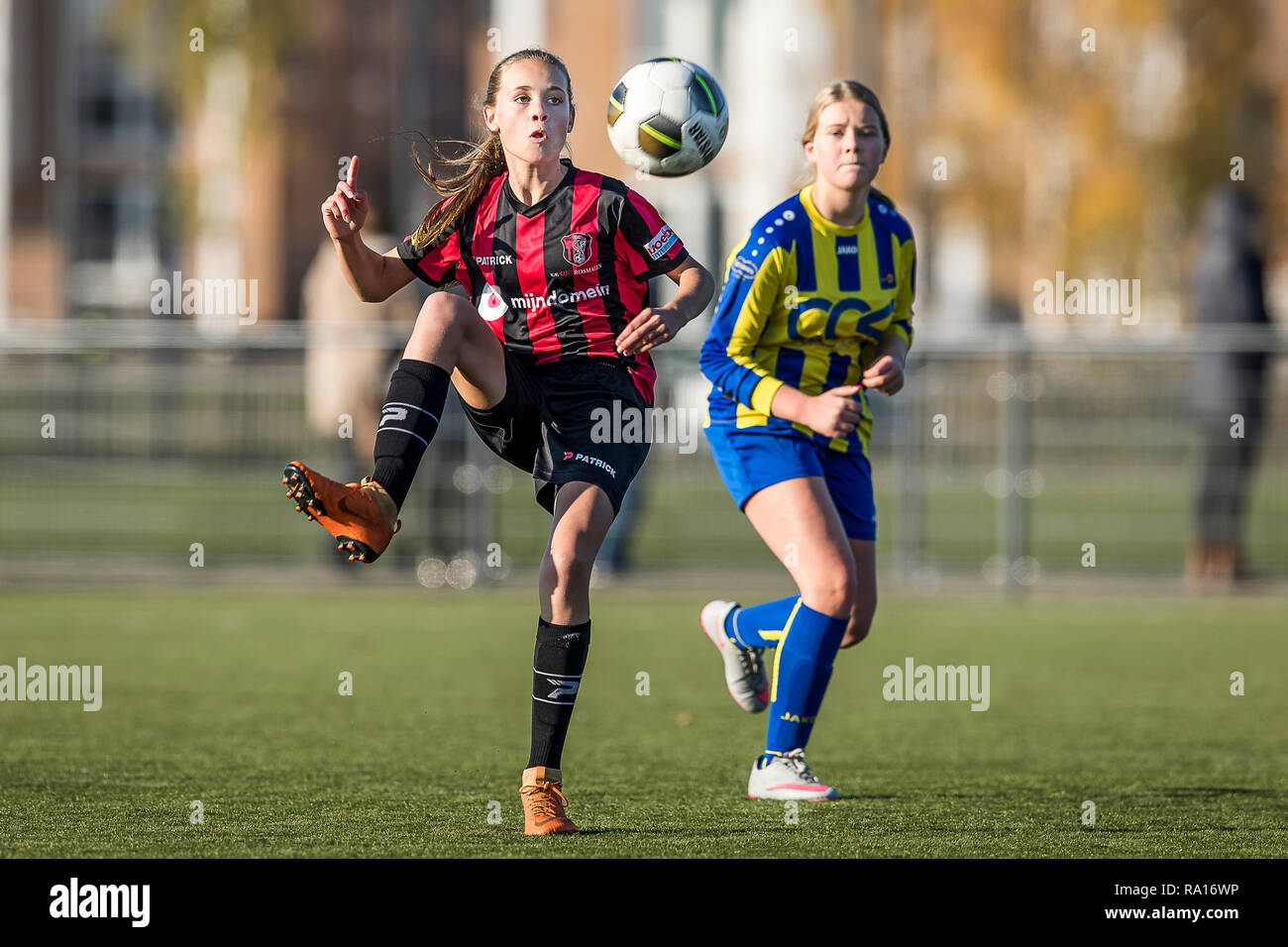 Lahaye hi-res stock photography and images - Alamy