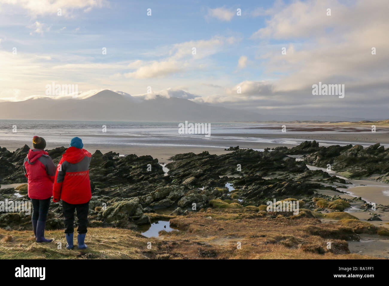Walking ballykinler hi-res stock photography and images - Alamy