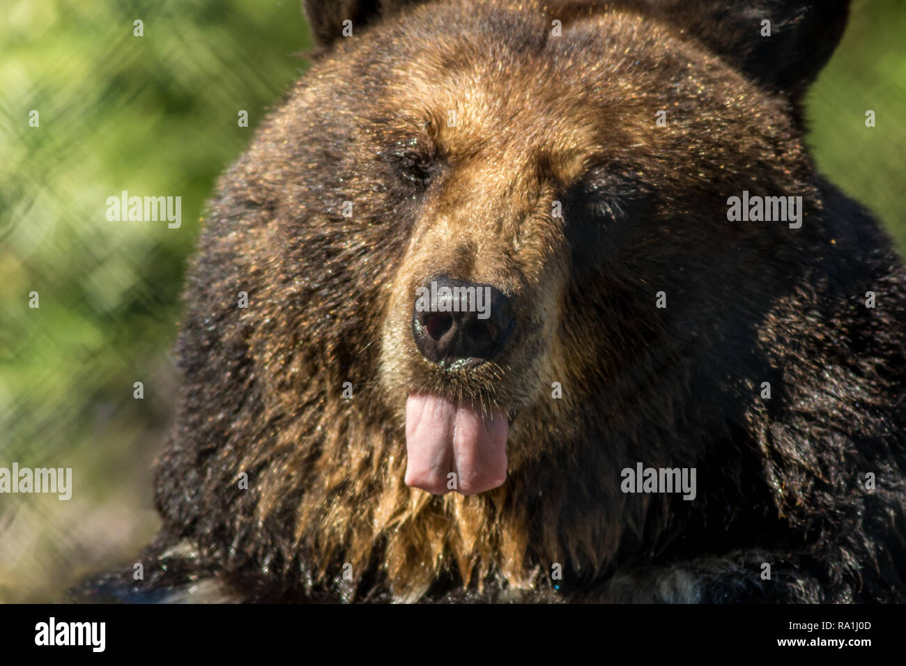 Dreadfulness hi-res stock photography and images - Alamy
