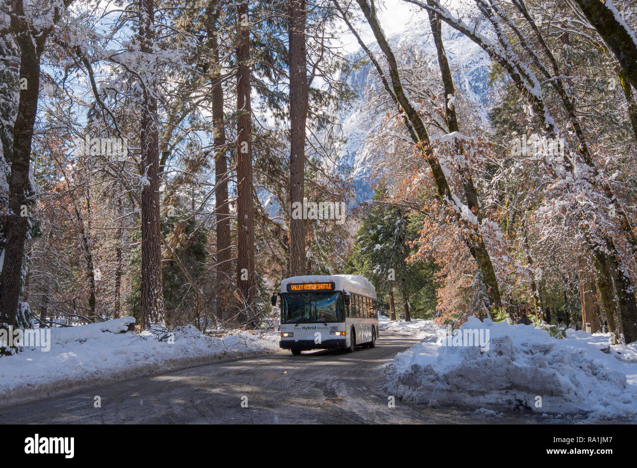 Open shuttle bus hi-res stock photography and images - Alamy