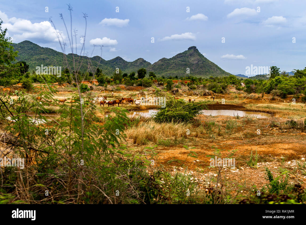 Farm yards hi-res stock photography and images - Alamy
