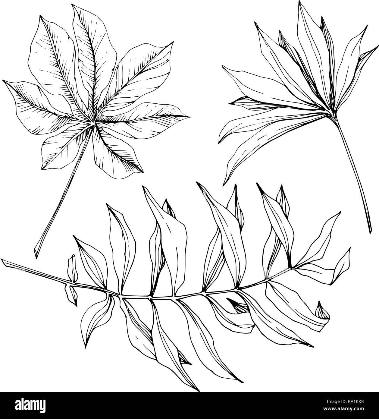 Exotic tropical hawaiian summer. Black and white engraved ink art ...