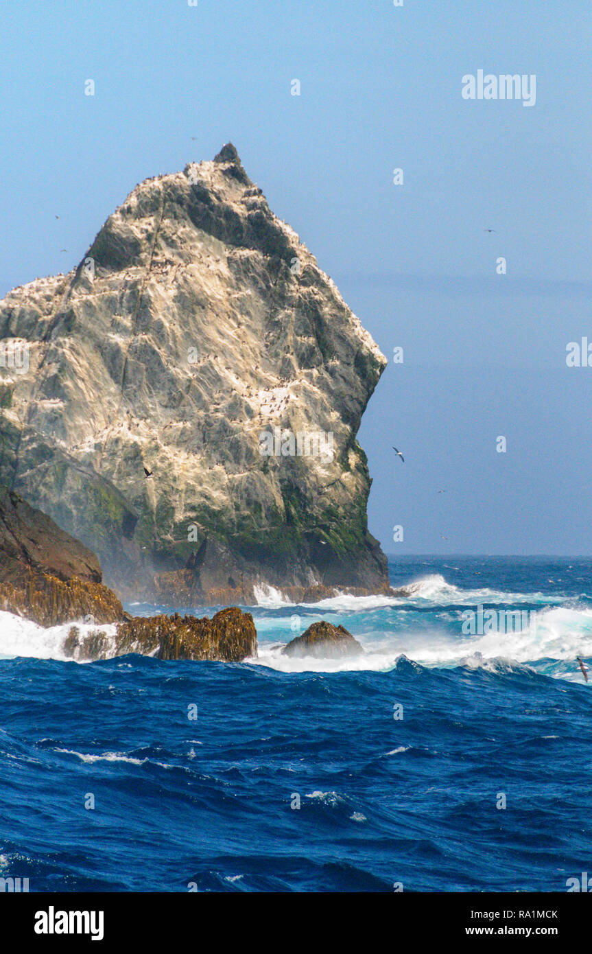 Close-up of one of the Shag Rocks Stock Photo - Alamy